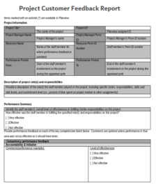 Customer Feedback Report Template | Free Report Templates